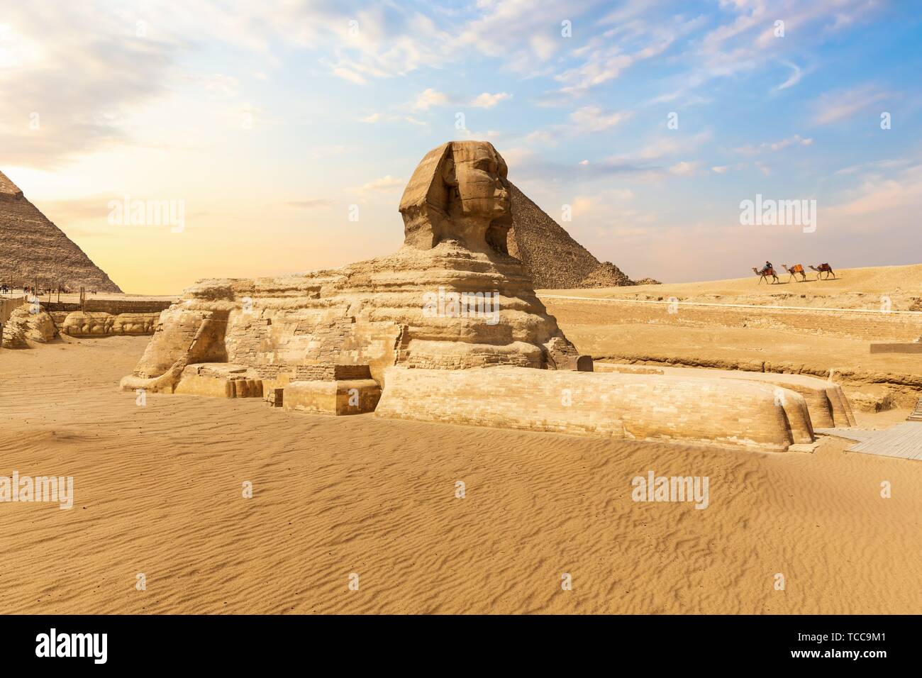 Grand sphinx des pyramides de gizeh et gizeh Banque d'image et photos ...