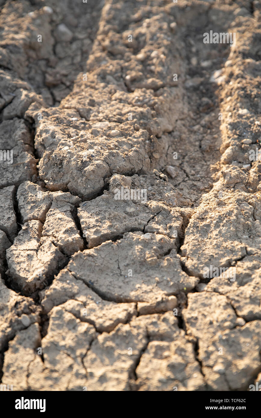 Arrière-plan de la sécheresse. Sol fissuré à sec sur les terres ...