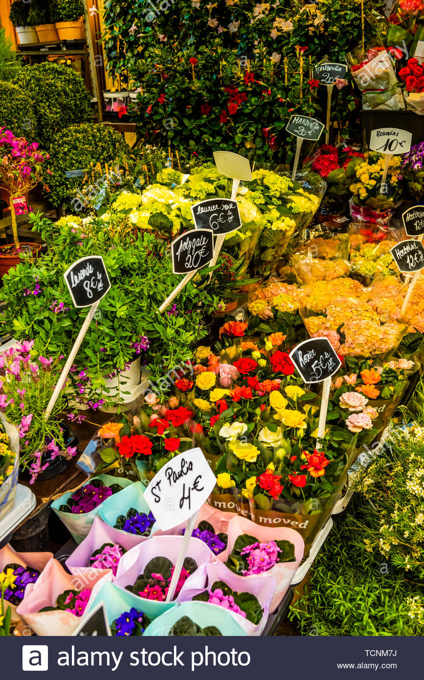 Paris Shop Florist France Photos & Paris Shop Florist France Images - Alamy