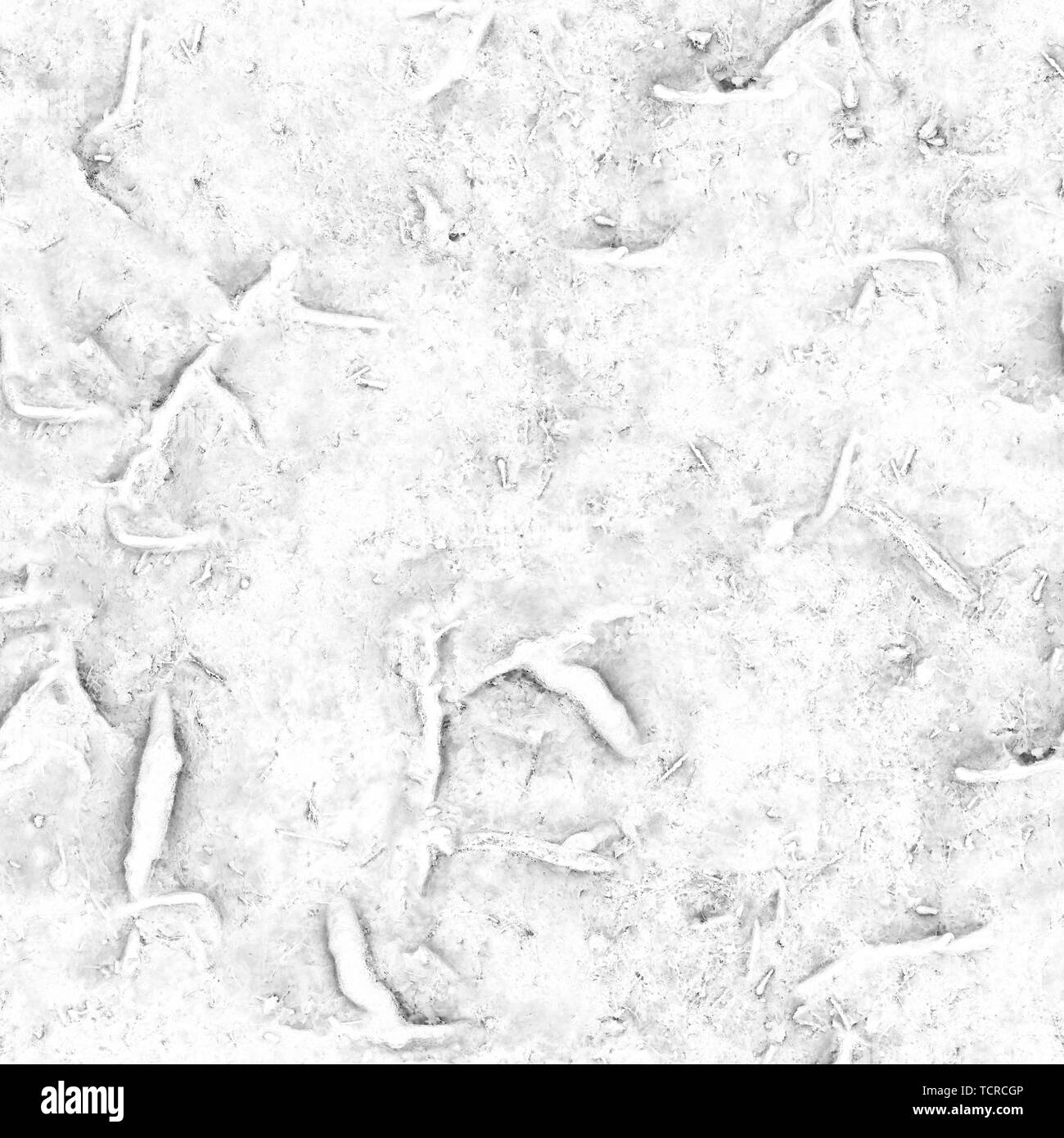 Micro-organismes et les bactéries en fort grossissement au microscope ...