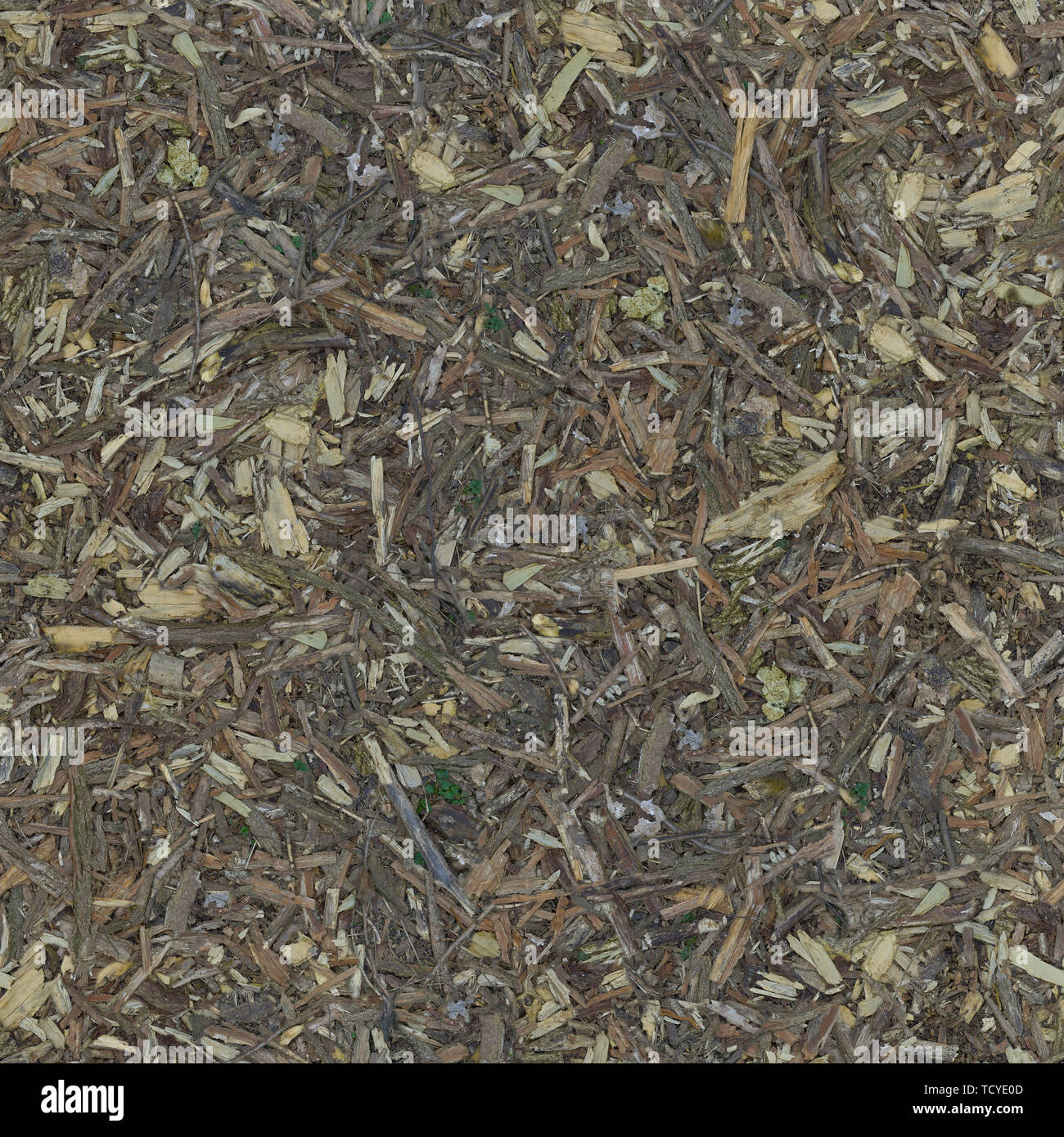 Forest soil seamless texture Banque de photographies et d’images à ...