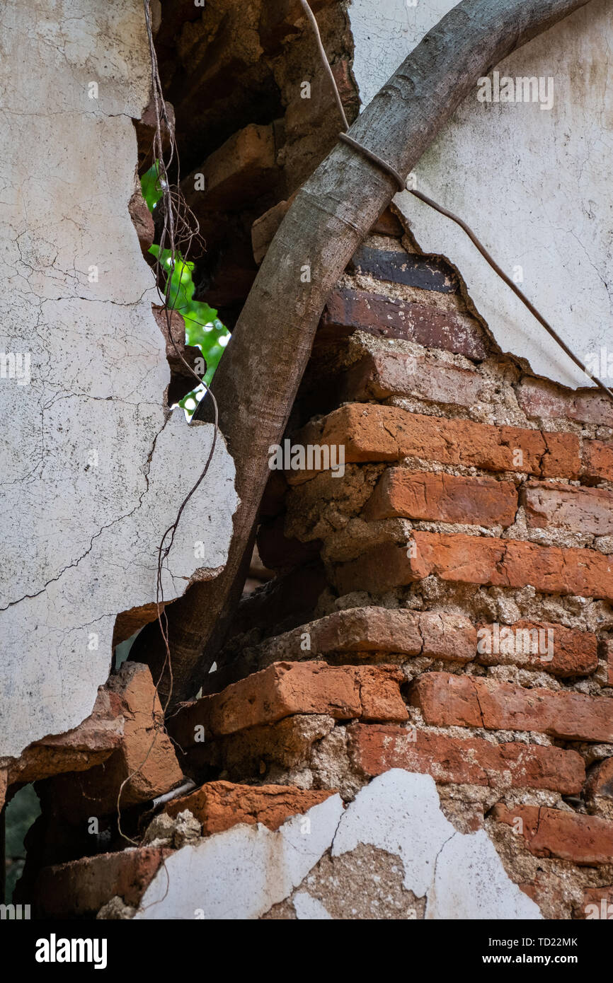 L'ancien temple est entouré par l'arbre de la Bodhi. Sang Tai Kra Ang ...