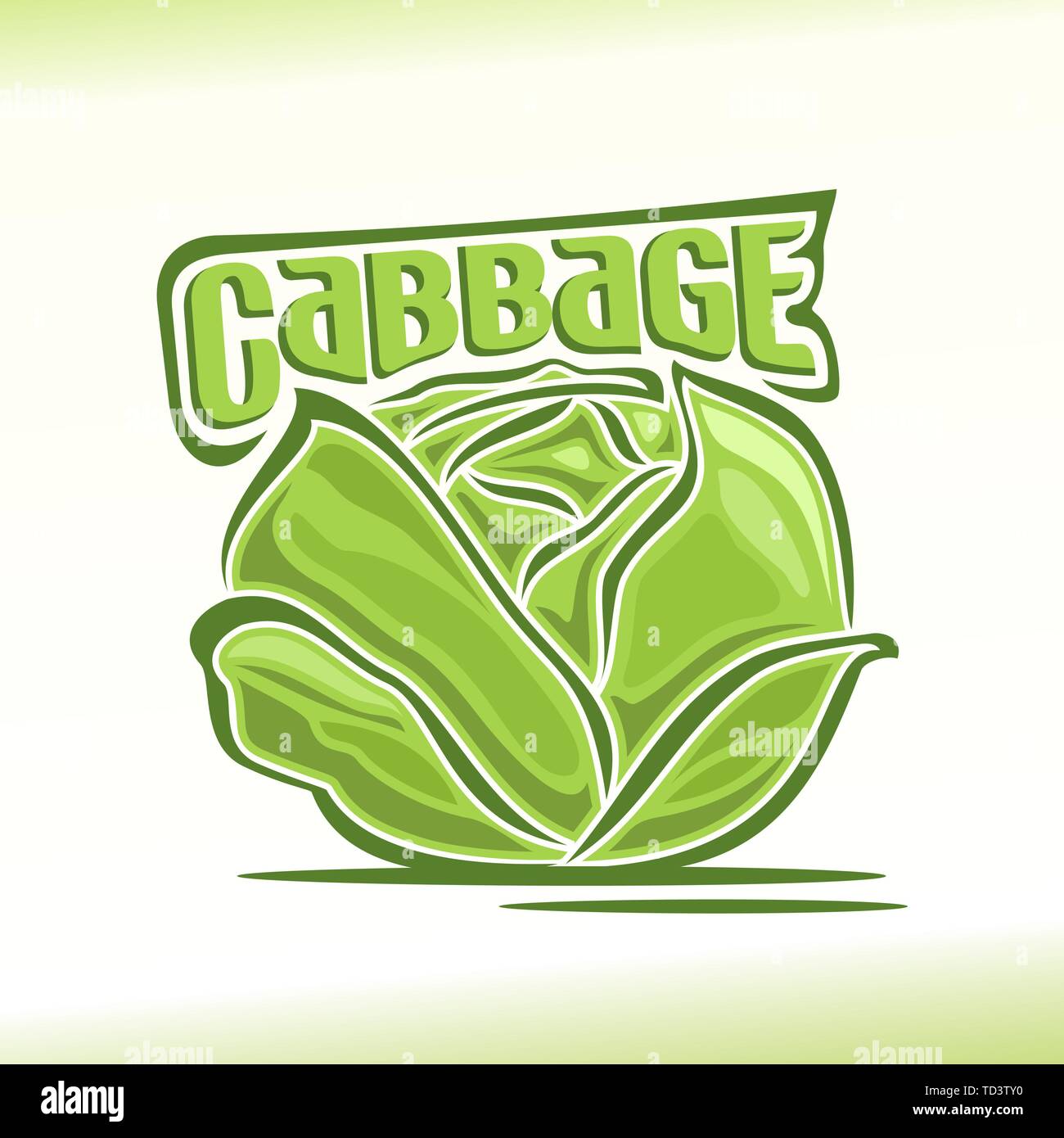 Feuilles de chou vert Banque d'images vectorielles - Alamy