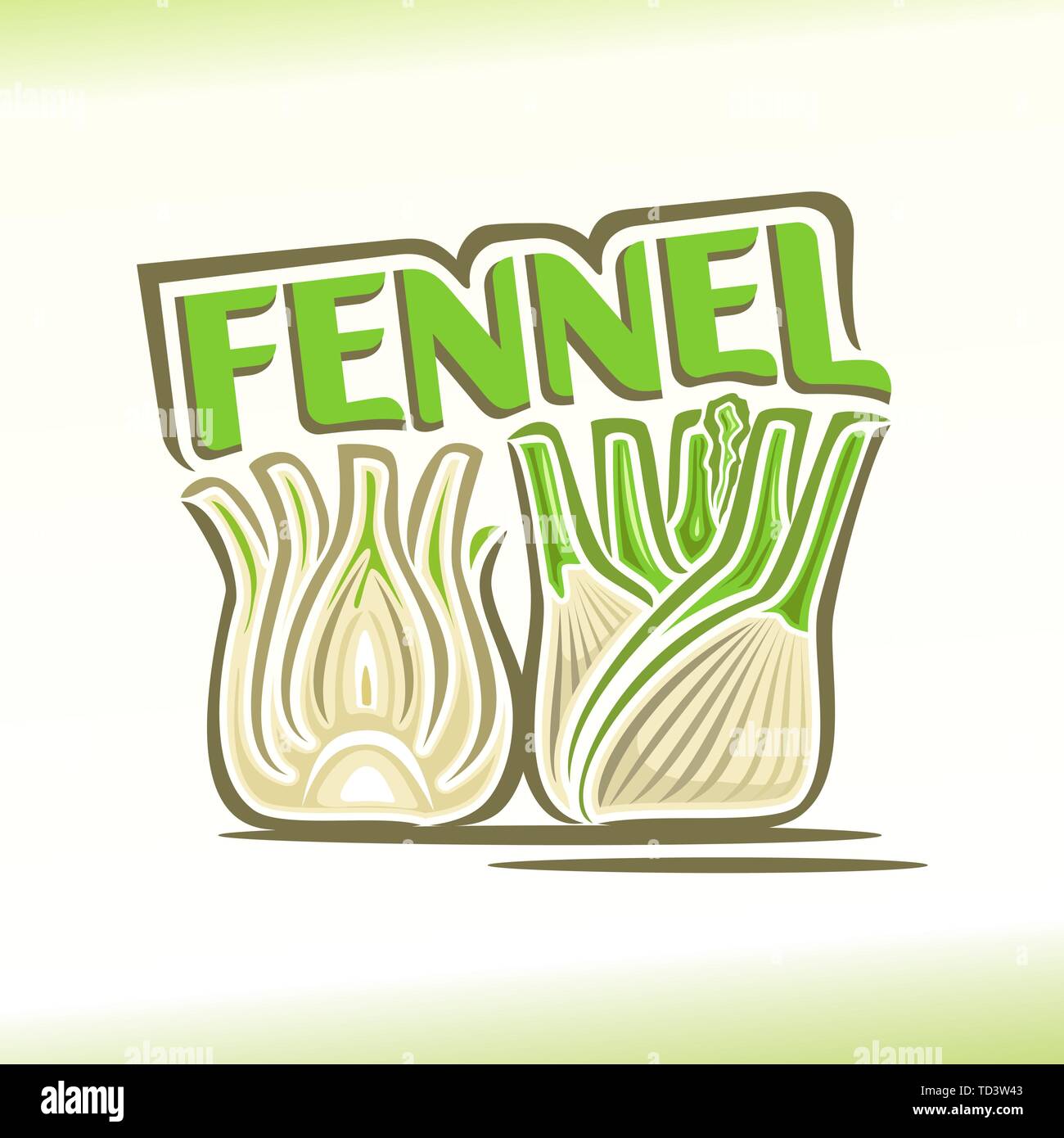 Plante de fenouil Banque d'images vectorielles - Alamy