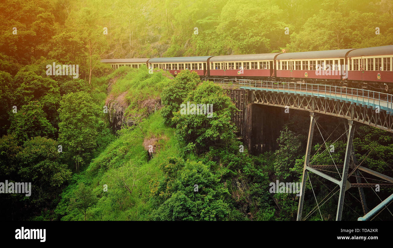 Jungle railway Banque de photographies et d’images à haute résolution - Alamy