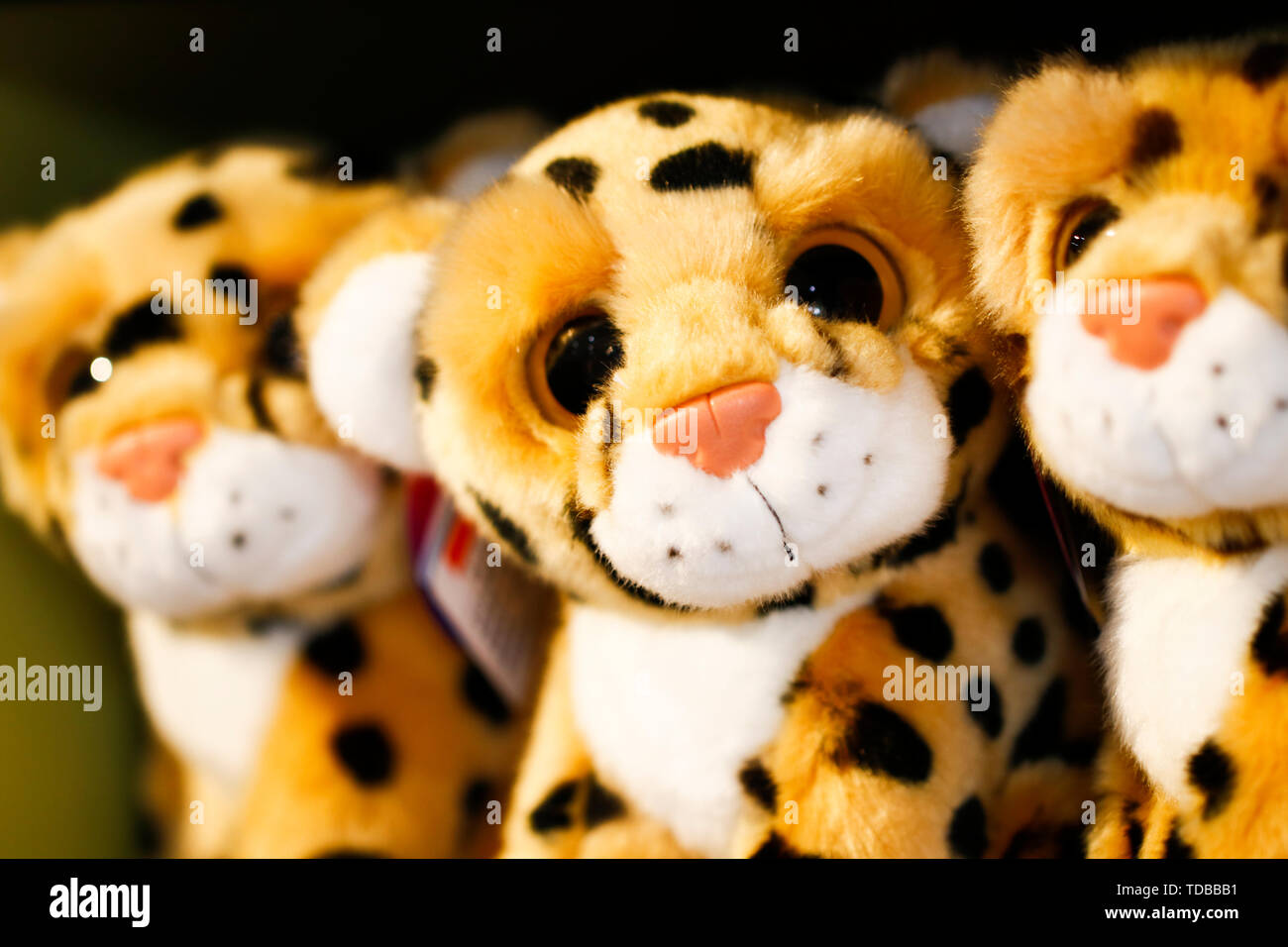 Toy leopard Banque de photographies et d’images à haute résolution - Alamy