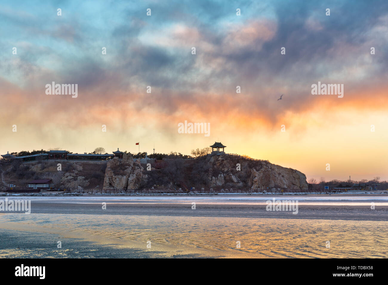 Nid De Pigeons Banque d'image et photos - Alamy