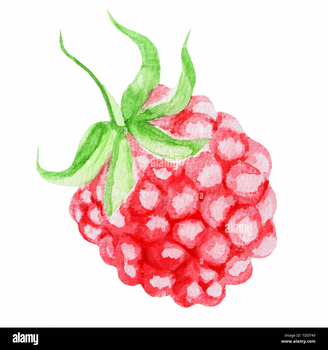 Dessin de framboise Banque de photographies et d’images à haute ...