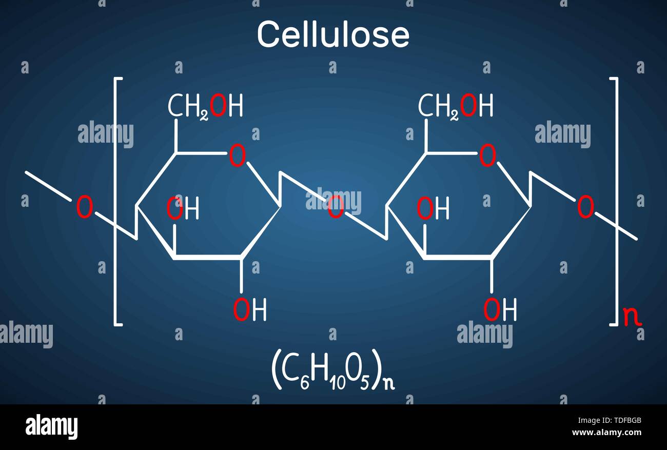 Qu’Est Ce Que La Cellulose – Schéma Cellulose – DYMFBR