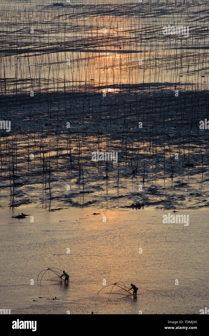 Senne tournante Banque de photographies et d’images à haute résolution ...