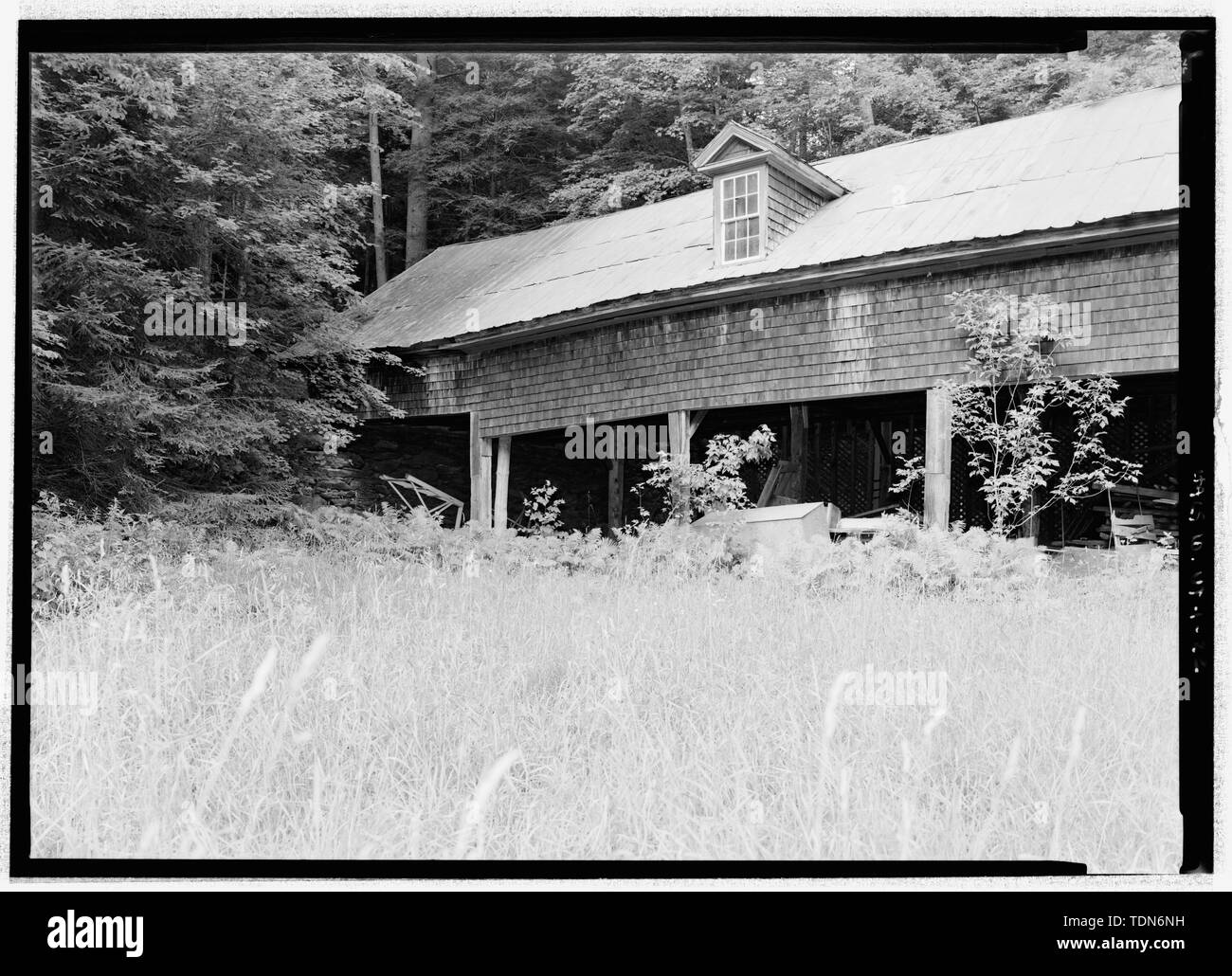 Prairie rue française Banque de photographies et d’images à haute ...