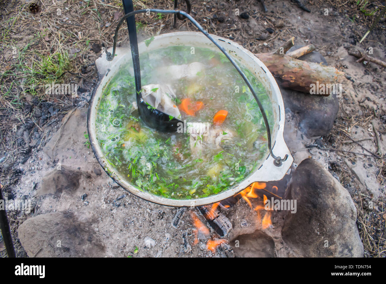 Oreille de mer Banque de photographies et d’images à haute résolution ...