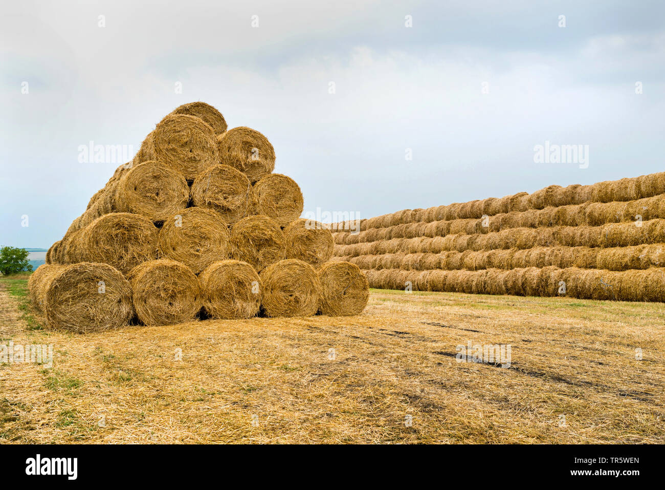 Grosses ballots de paille Banque de photographies et d’images à haute ...