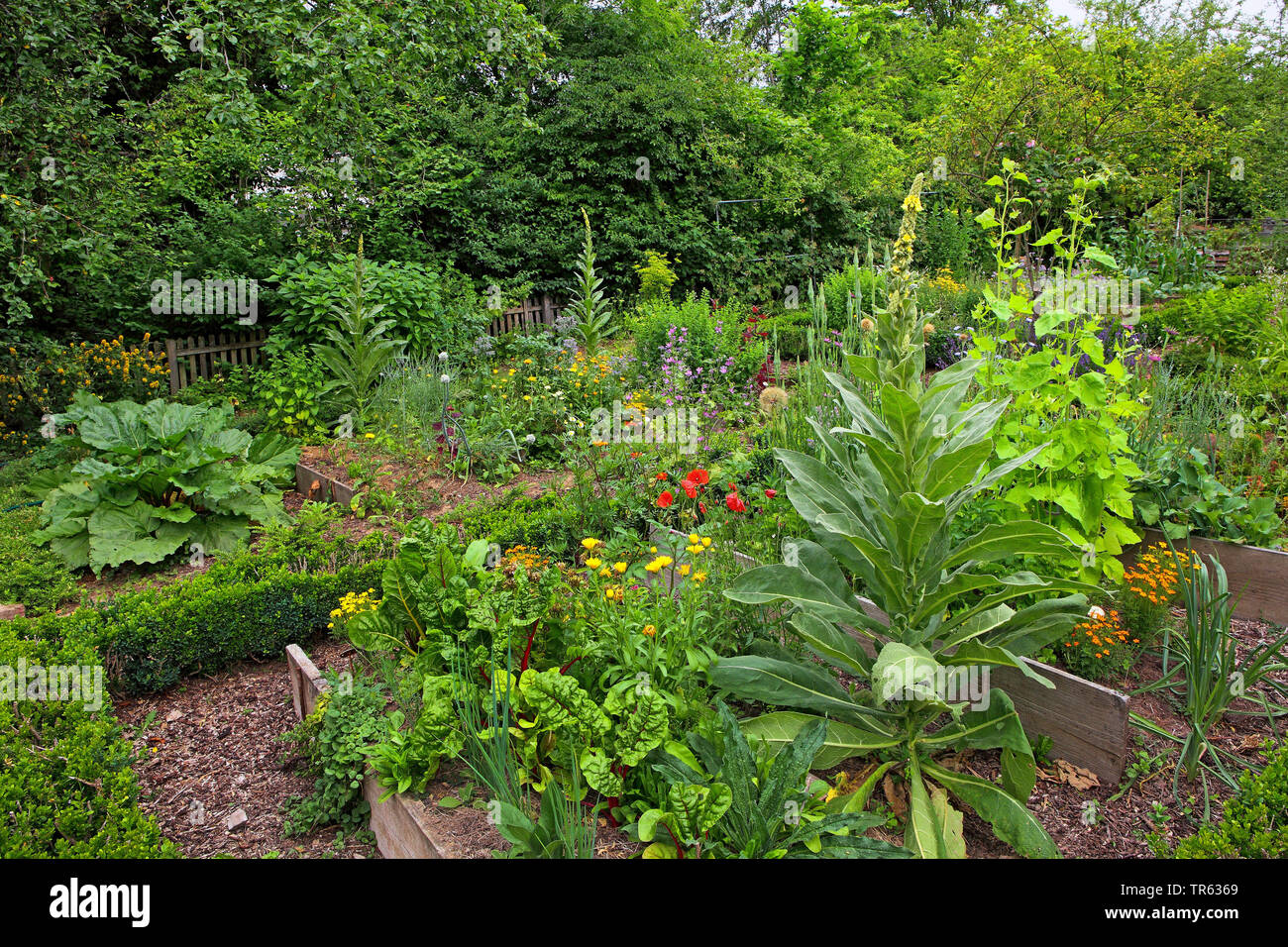 Jardins ruraux Banque de photographies et d’images à haute résolution ...