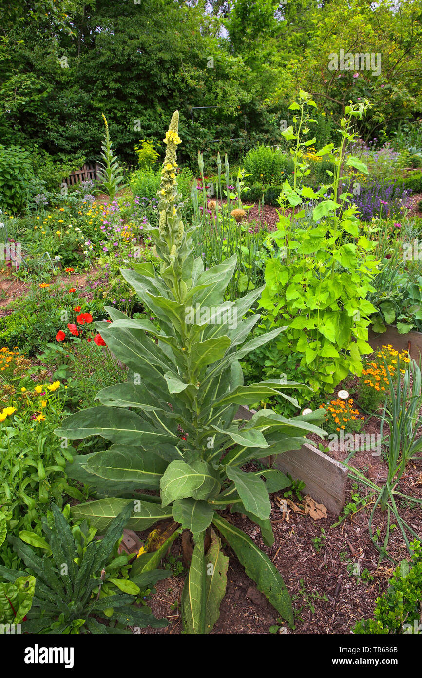 Jardins ruraux Banque de photographies et d’images à haute résolution ...