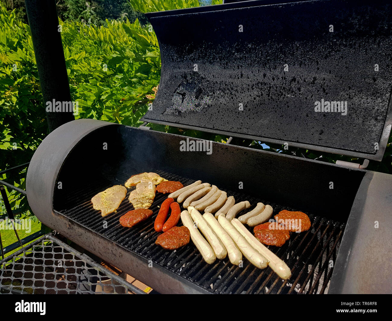 Viande dans un grill Banque de photographies et d’images à haute ...