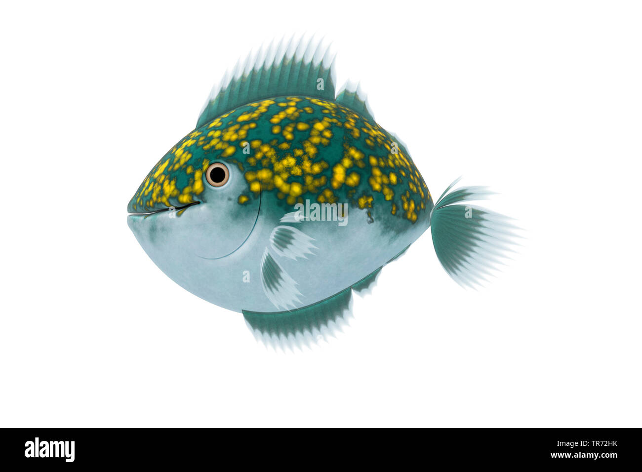 Schémas poissons Banque de photographies et d’images à haute résolution ...