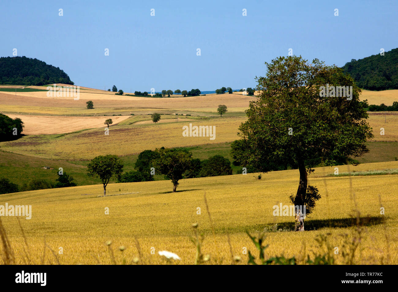 Morvan paysage Banque de photographies et d’images à haute résolution ...