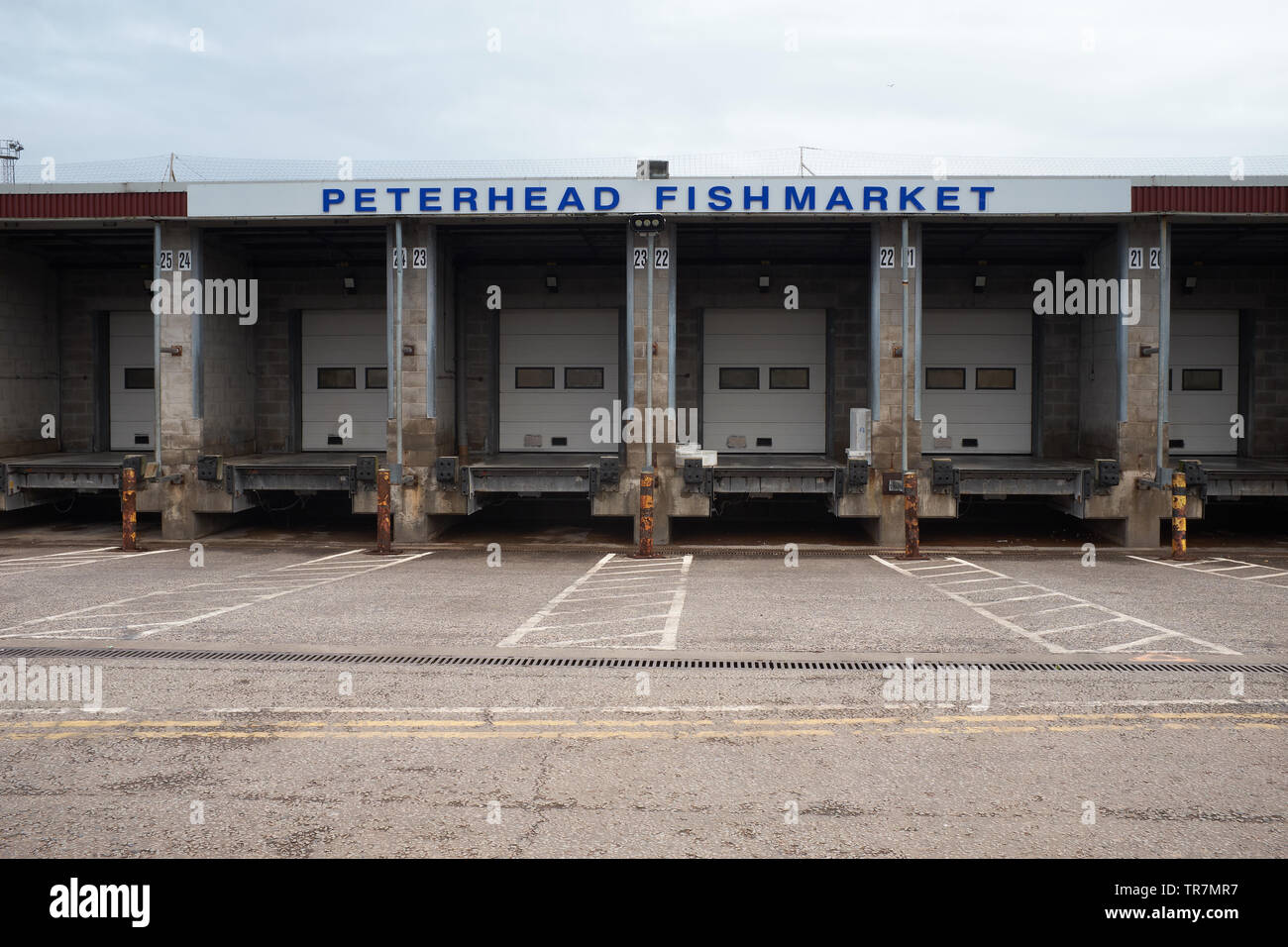 Peterhead fishmarket Banque de photographies et d’images à haute ...