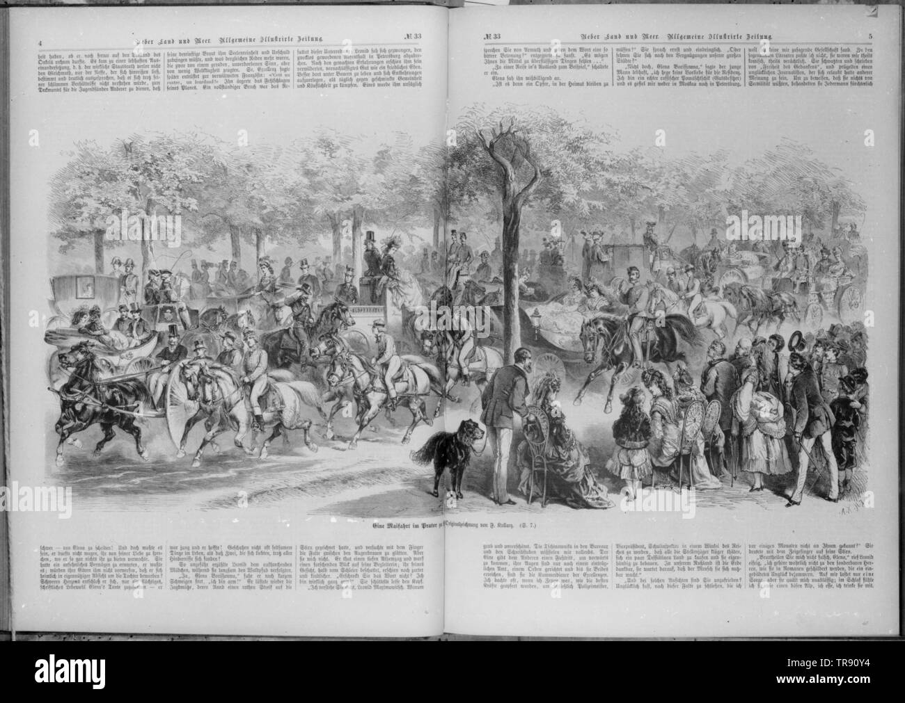 Horse rut Banque de photographies et d’images à haute résolution - Alamy