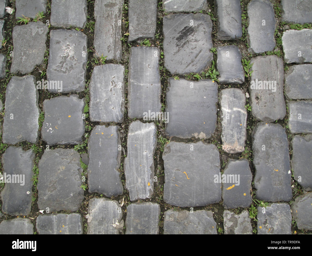 Construction De Routes Venezuela Banque d'image et photos - Alamy