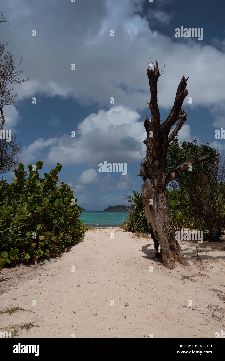 Princess margaret mustique island Banque de photographies et d’images à ...