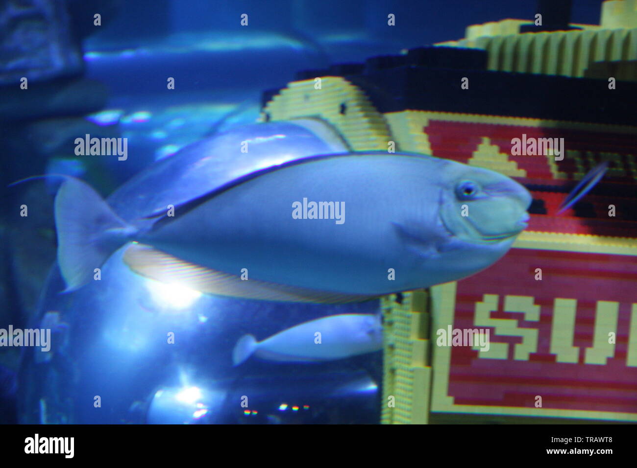 Lego waterworld Banque de photographies et d’images à haute résolution ...