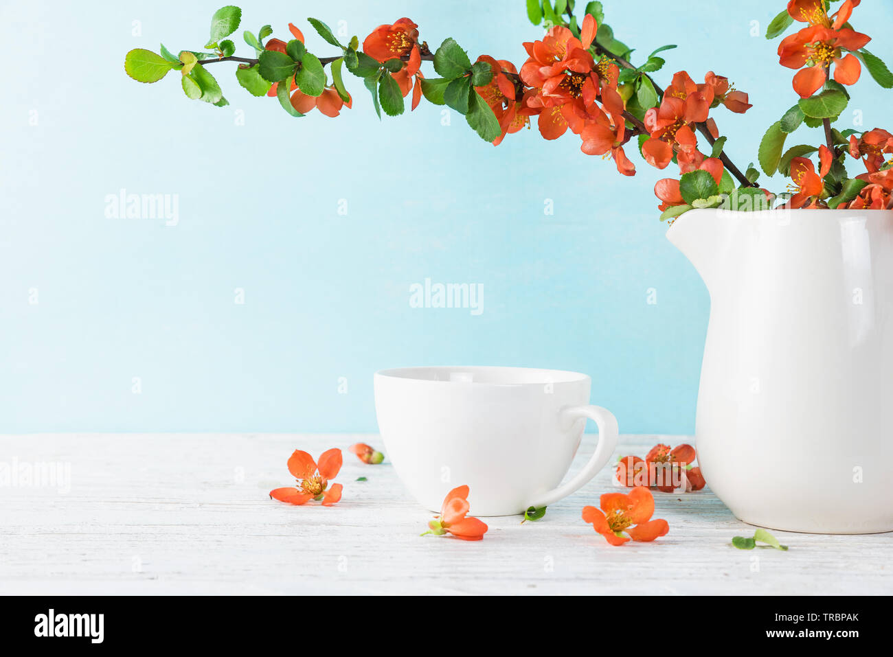 Carte du matin avec une tasse de thé Banque de photographies et d ...