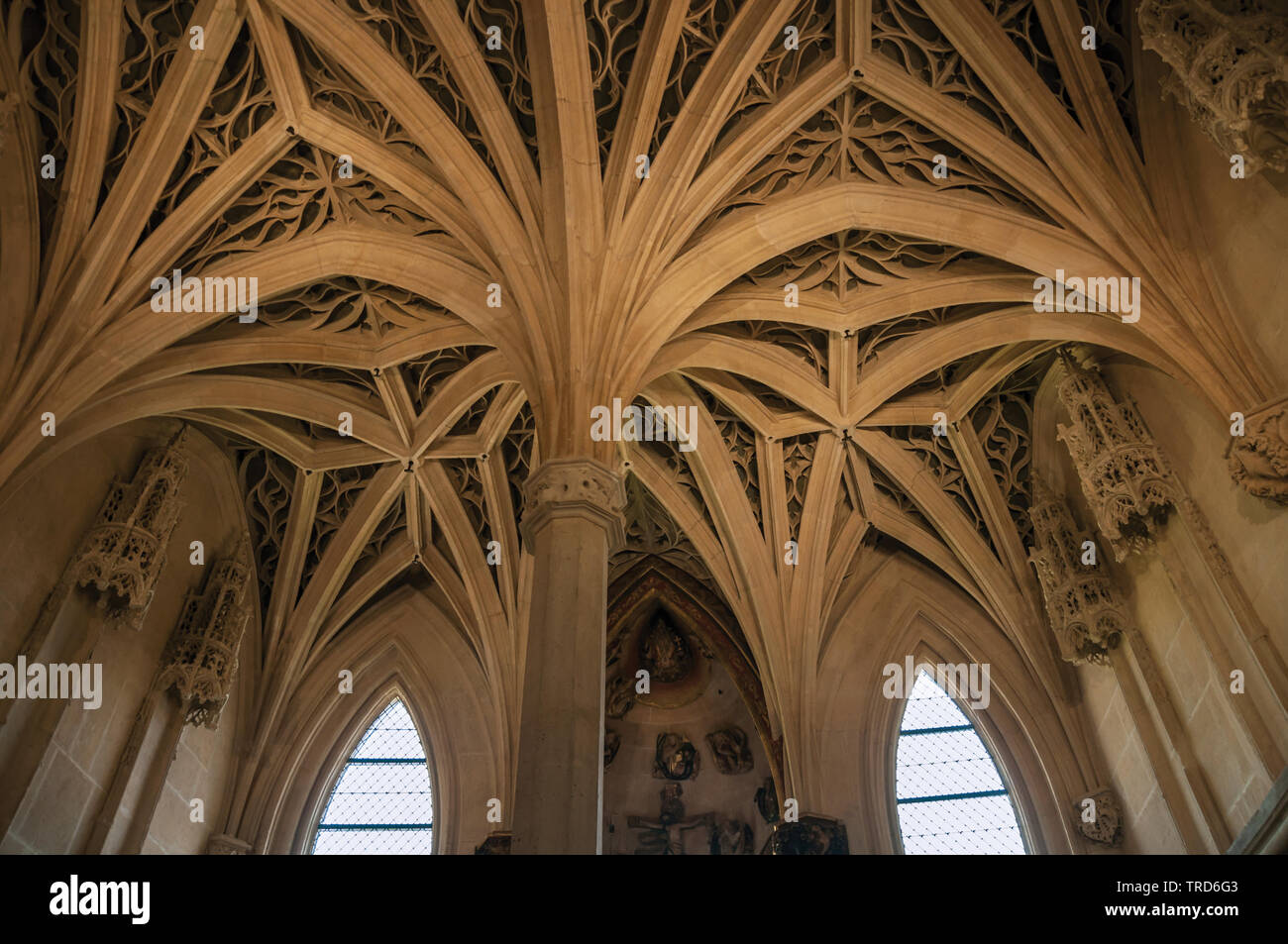 Colonnes et plafond en style gothique au Musée de Cluny, à Paris. L'un ...
