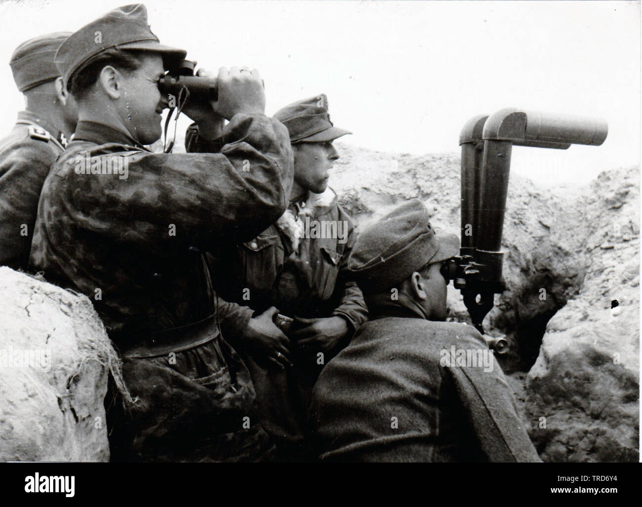 Les officiers de la Waffen SS Panzer Division SS Wiking en utilisant ...