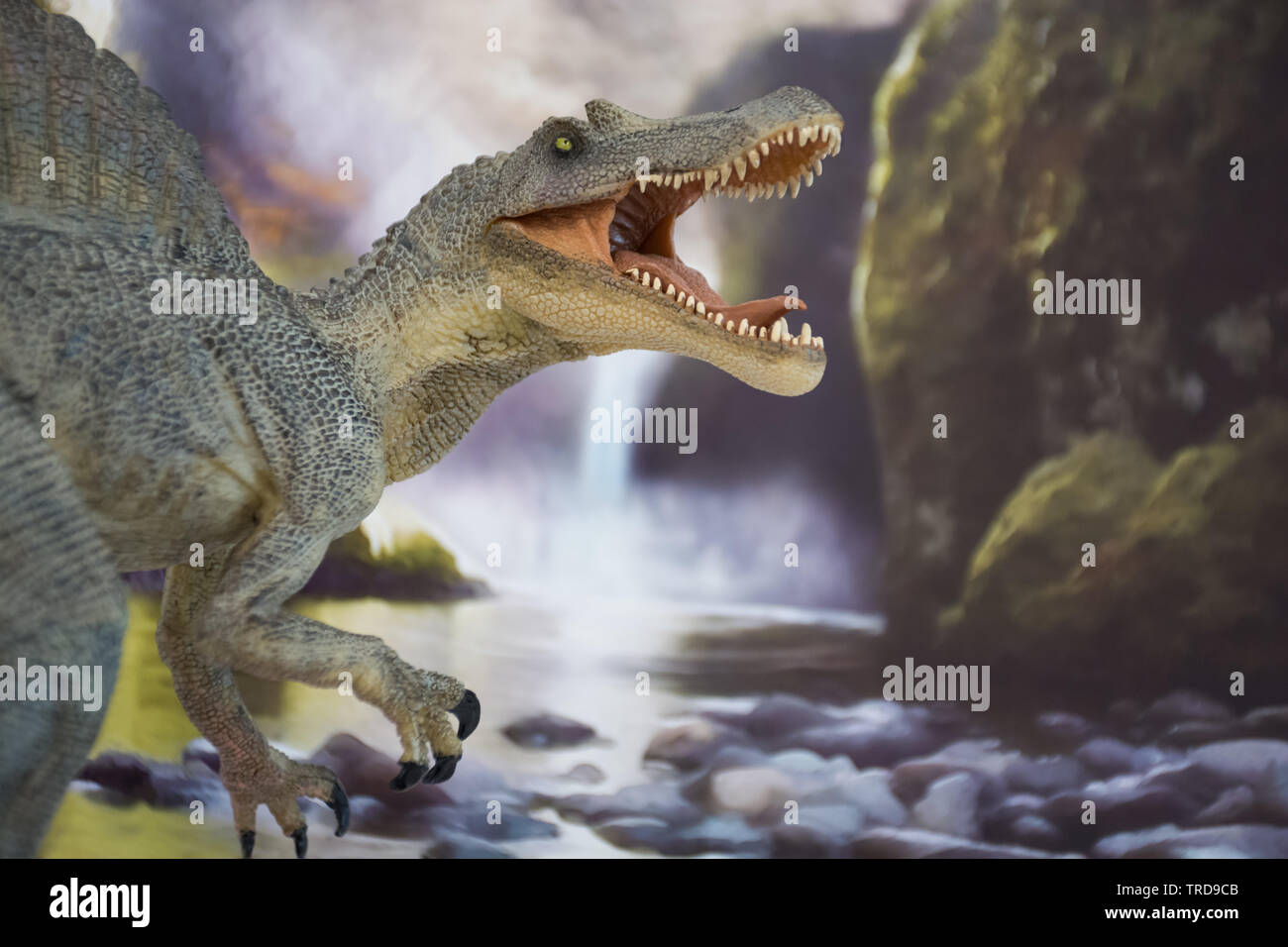 Spinosaurus aegyptiacus Banque de photographies et d’images à haute résolution - Alamy
