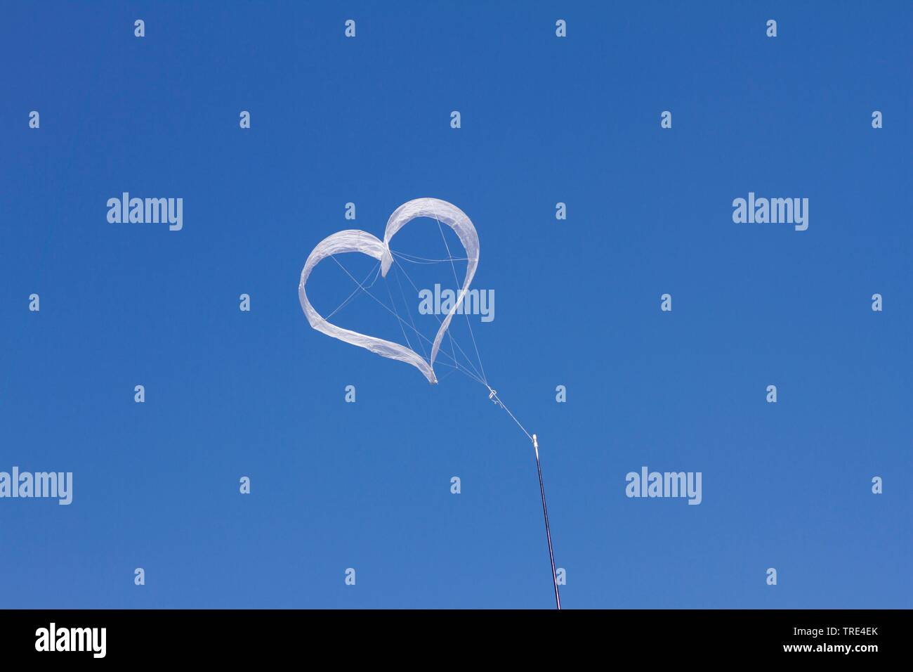 Coeur de cerf volant Banque de photographies et d’images à haute ...