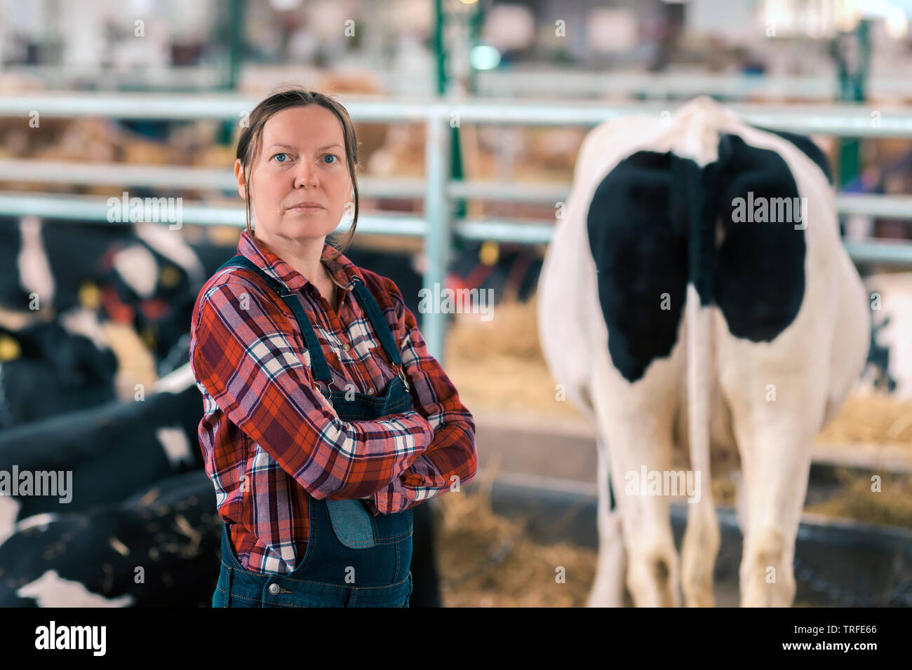 Paysanne avec une vache Banque de photographies et d’images à haute ...