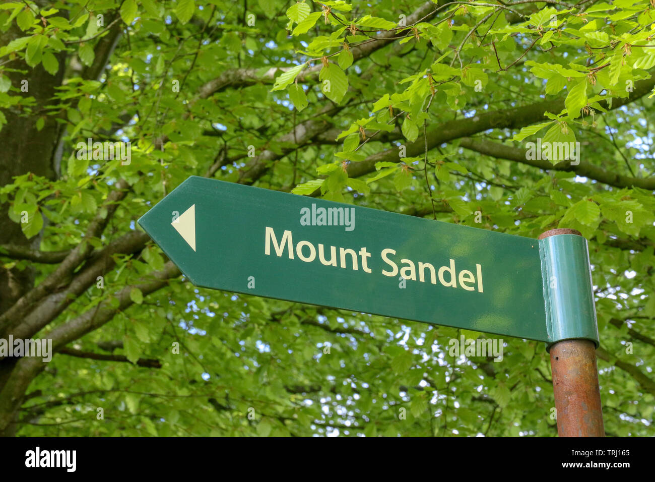 Mont sandel fort et bois Banque de photographies et d’images à haute ...