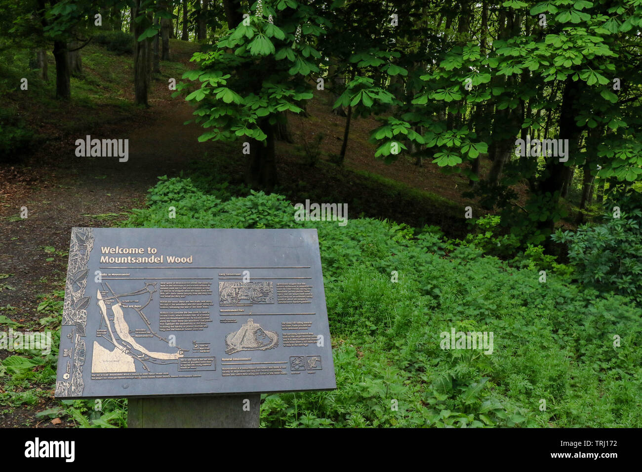 Panneau d'information mountsandel wood Banque de photographies et d ...