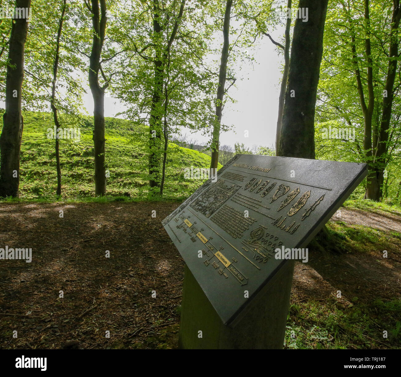 Mont sandel fort et bois Banque de photographies et d’images à haute ...