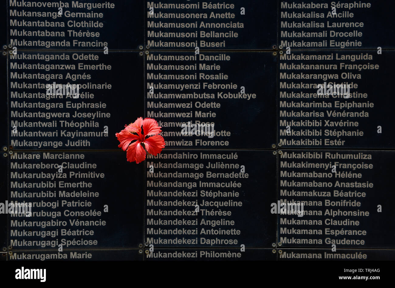 RWANDA, Kigali, Kigali Genocide Memorial , un musée et mémorial à se ...