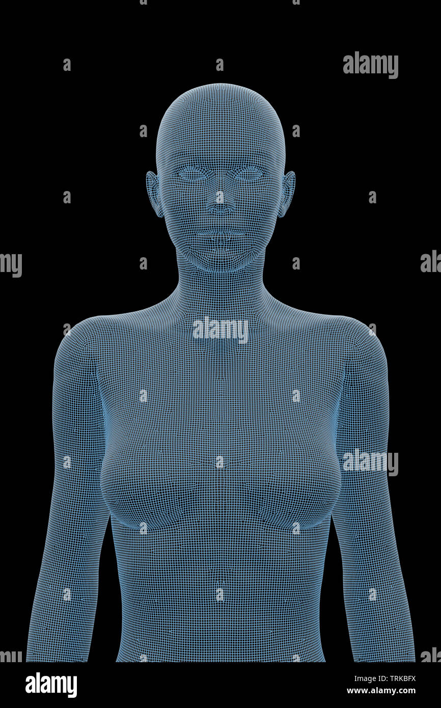 Le corps de la femme. Le Rendu 3D image des femmes corps humain. Modèle ...