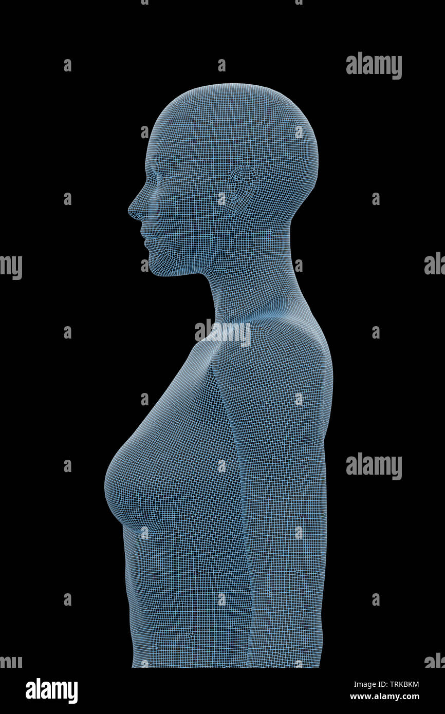 Le corps de la femme. Le Rendu 3D image des femmes corps humain. Modèle ...