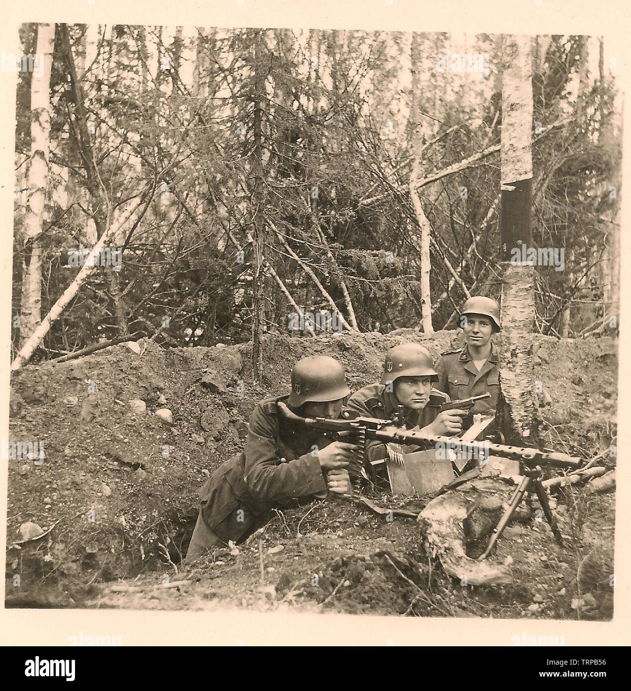 6e Division Ss Nord Banque d'image et photos - Alamy