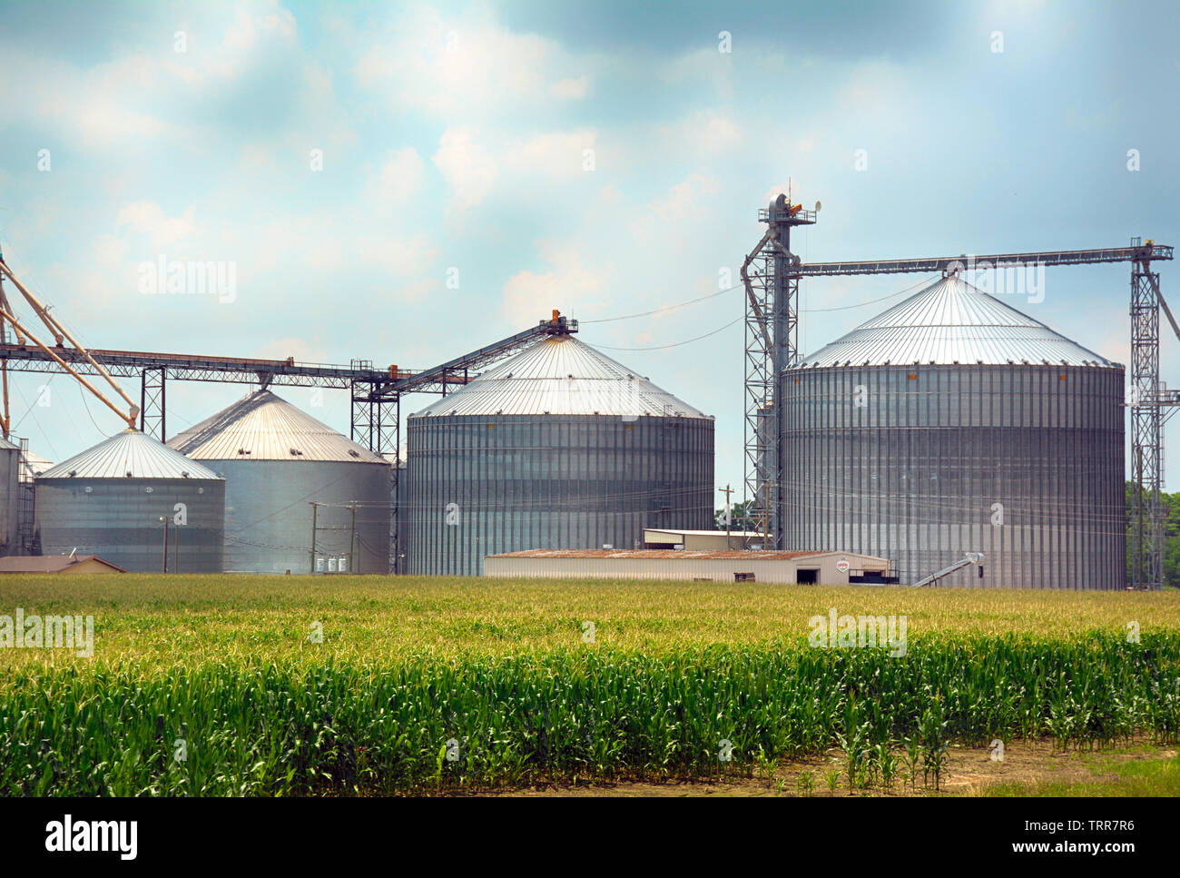 Silos cylindriques Banque de photographies et d’images à haute ...