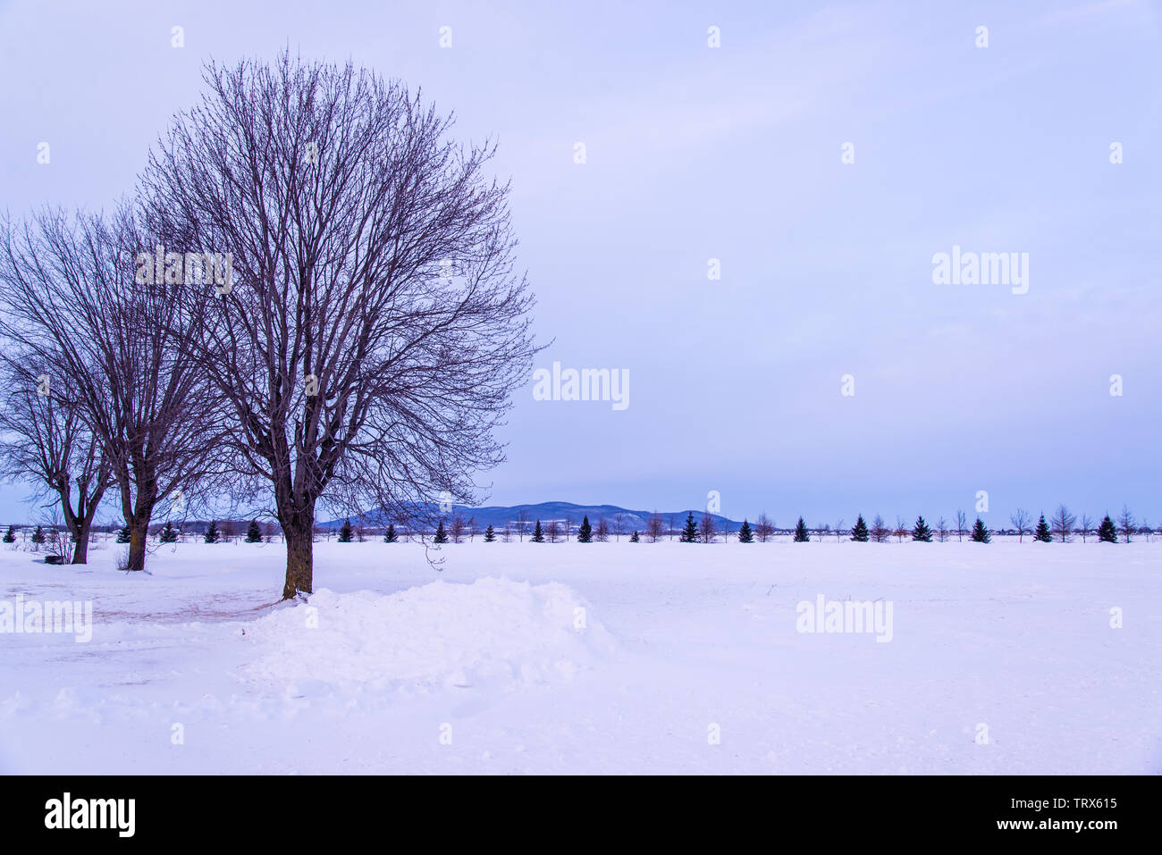 Paysage de neige quebec Banque de photographies et d’images à haute ...
