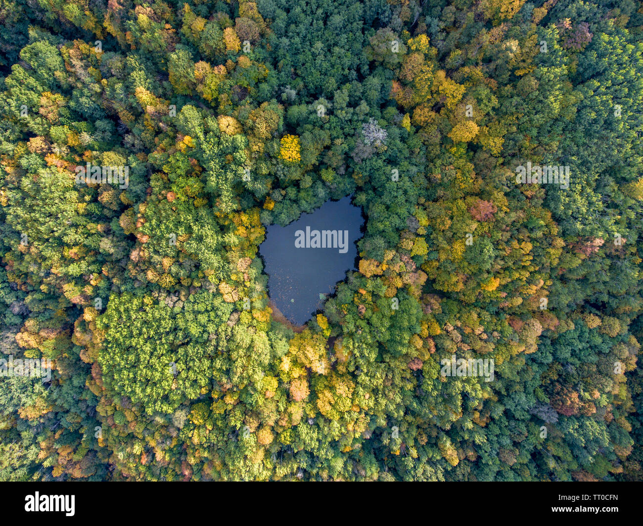 Vue aerienne de foret et lac Banque de photographies et d’images à ...