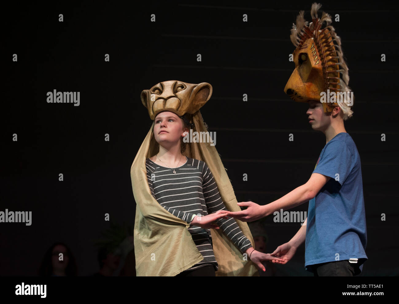 Le roi lion simba nala Banque de photographies et d’images à haute ...