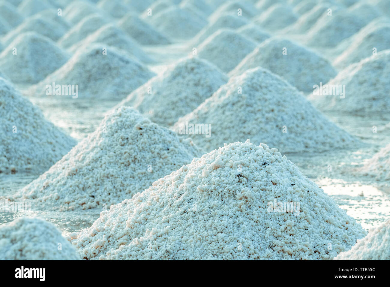 Cristallisation du sel Banque de photographies et d’images à haute ...