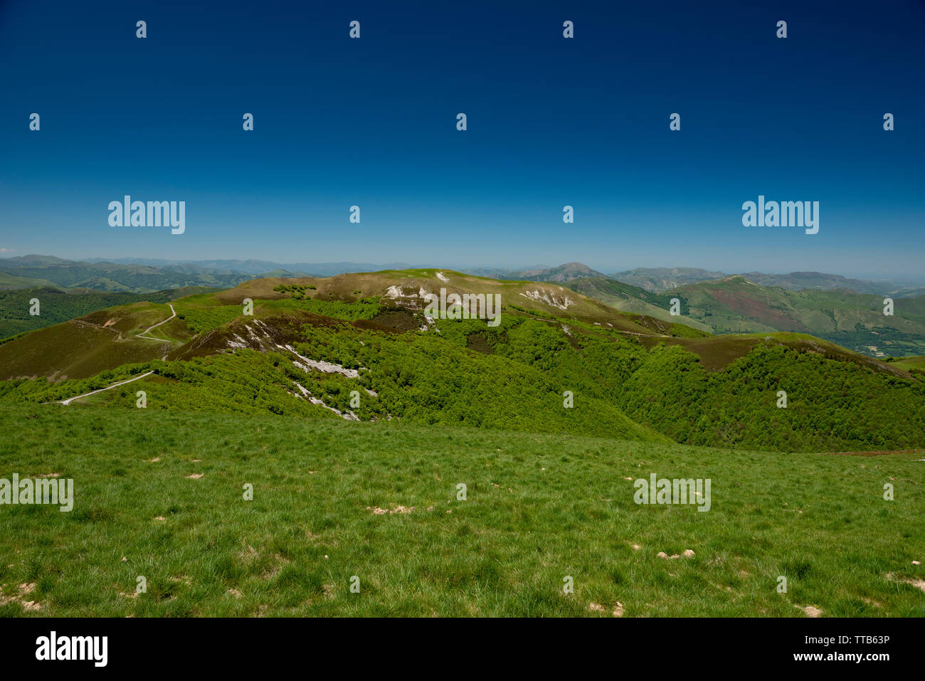 Col de Roncevaux, Camino navarro (route de Navarre) sur les Pyrénées ...
