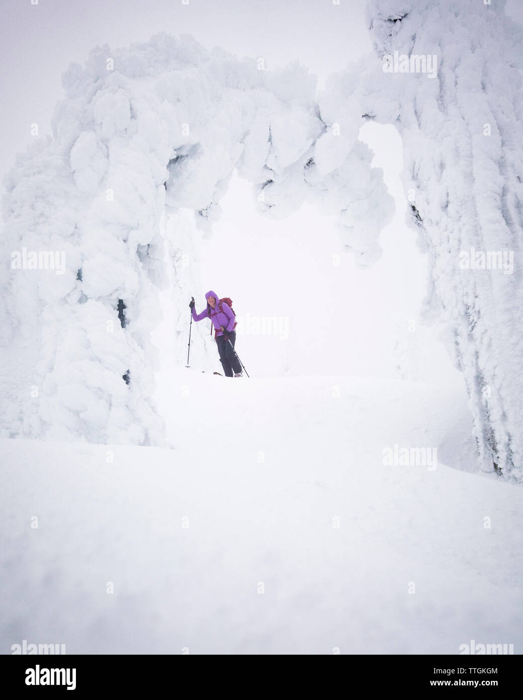 Une femme sous un arbre avec des skis se pencha sous le poids de la ...