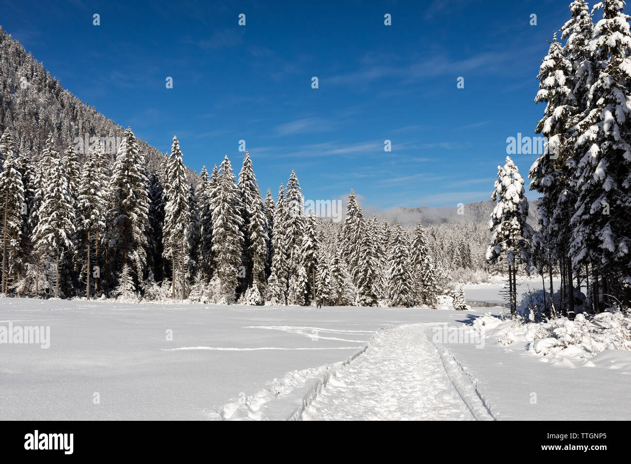 Lac laghi di fusine italie Banque de photographies et d’images à haute ...