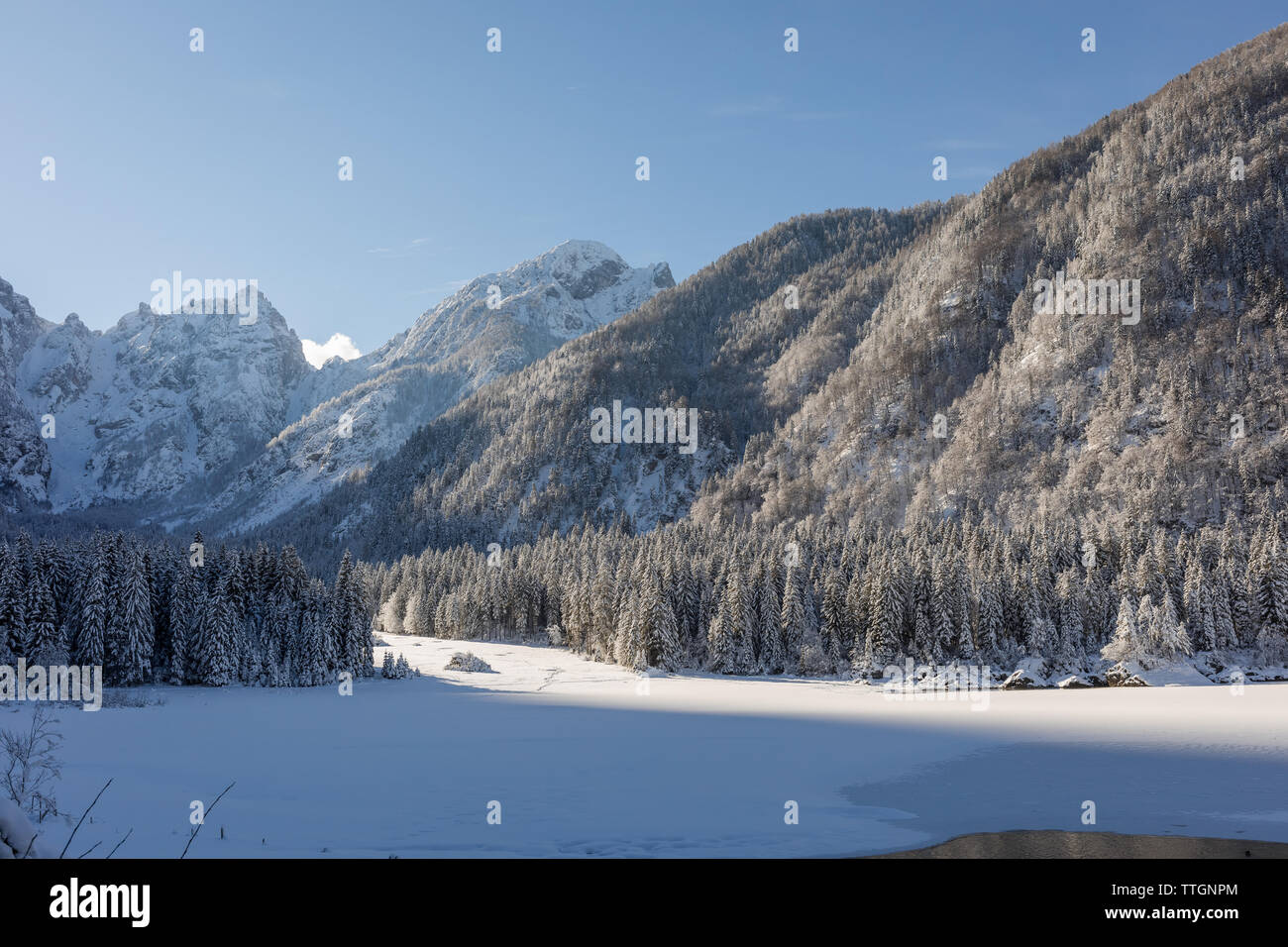 Lac laghi di fusine italie Banque de photographies et d’images à haute ...