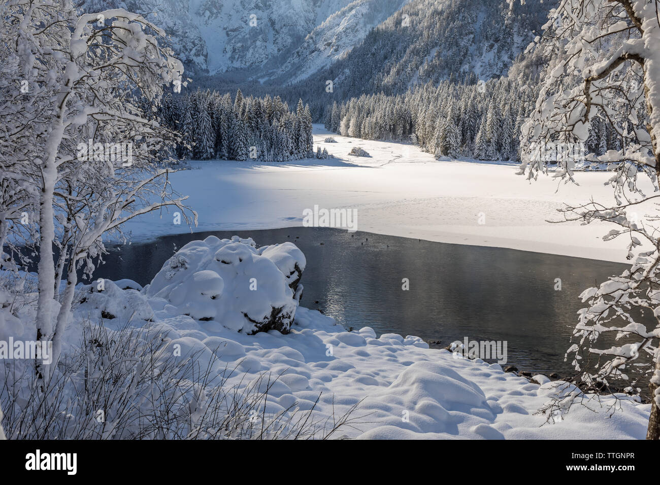 Lac laghi di fusine italie Banque de photographies et d’images à haute ...
